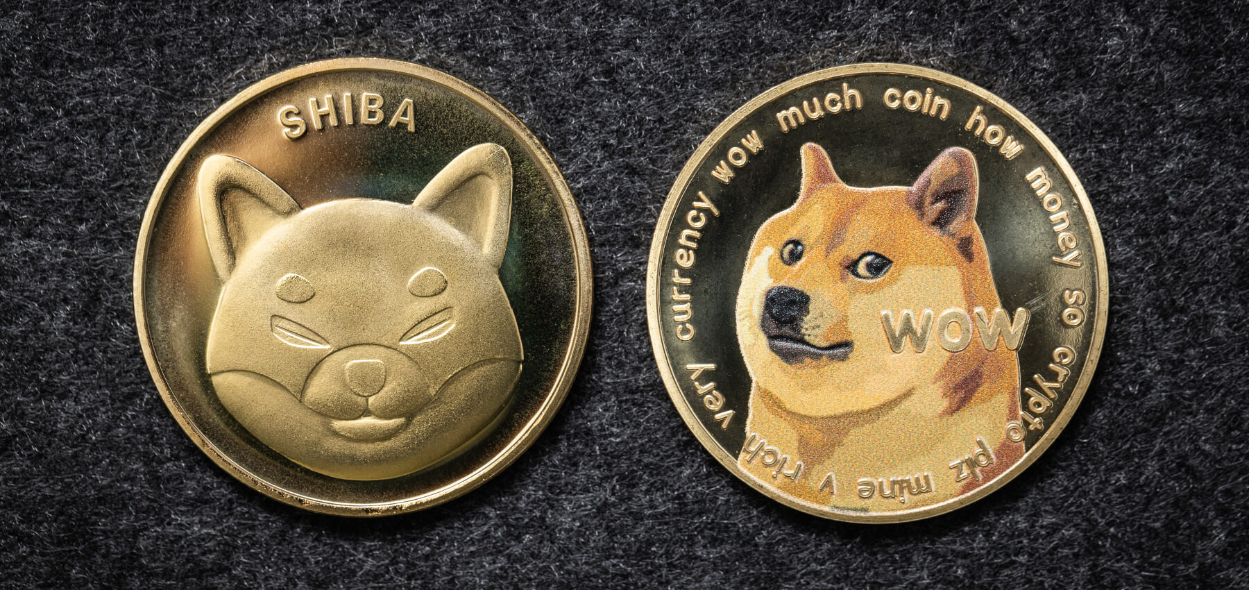 Shiba Inu Cryptocurrency: The Facts Behind the Hype - moneyland.ch